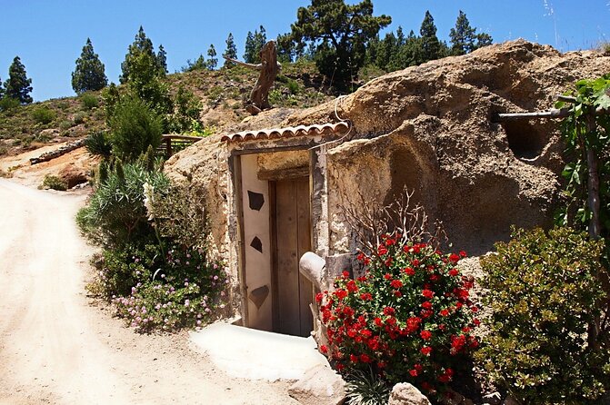 Monster Quad Teide Tour - Tour Descriptions and Expectations