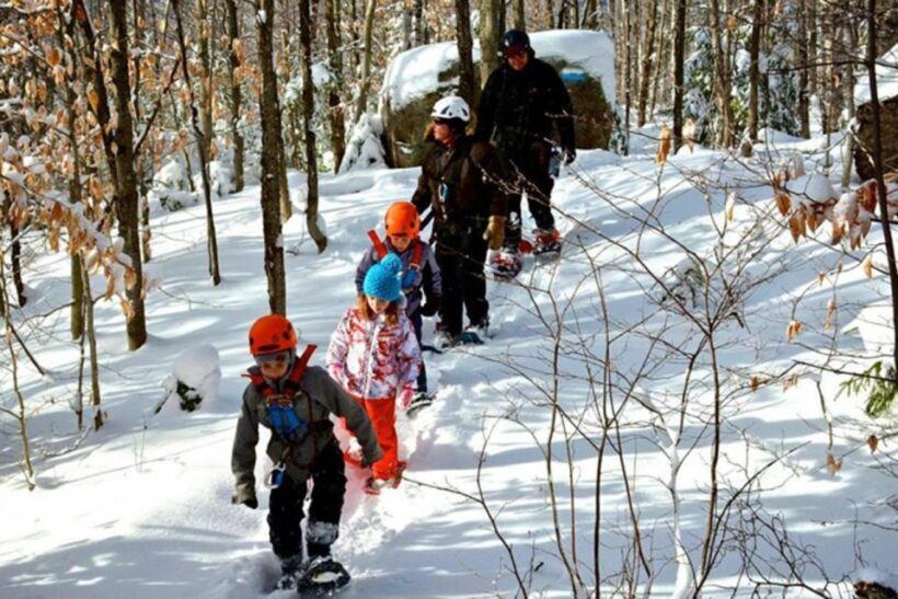 Mont-Catherine: Ziplines & Hike - The Experience from the Reviewers Perspective
