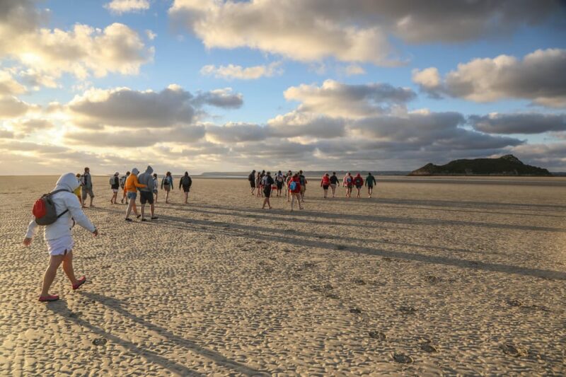 Mont-saint-Michel : Walk in the heart of the Bay - The itinerary and experience details