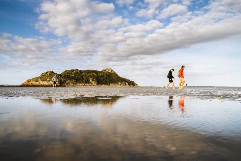 Mont-saint-Michel : Walk in the heart of the Bay - Meeting point and practical info