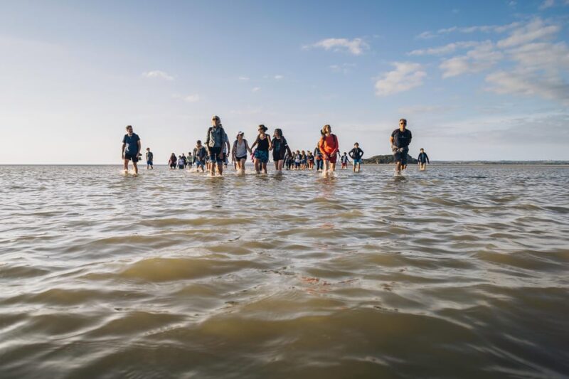 Mont-saint-Michel : Walk in the heart of the Bay - Frequently Asked Questions