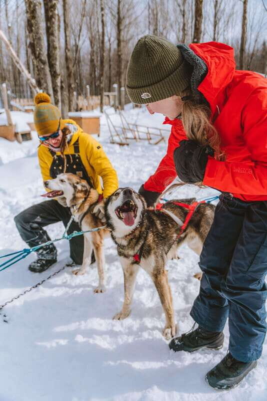 Mont-Tremblant: Dogsledding Upper Laurentians - Key Points