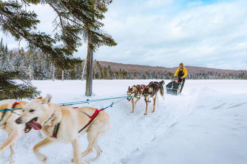 Mont-Tremblant: Dogsledding Upper Laurentians - A Closer Look at the Experience
