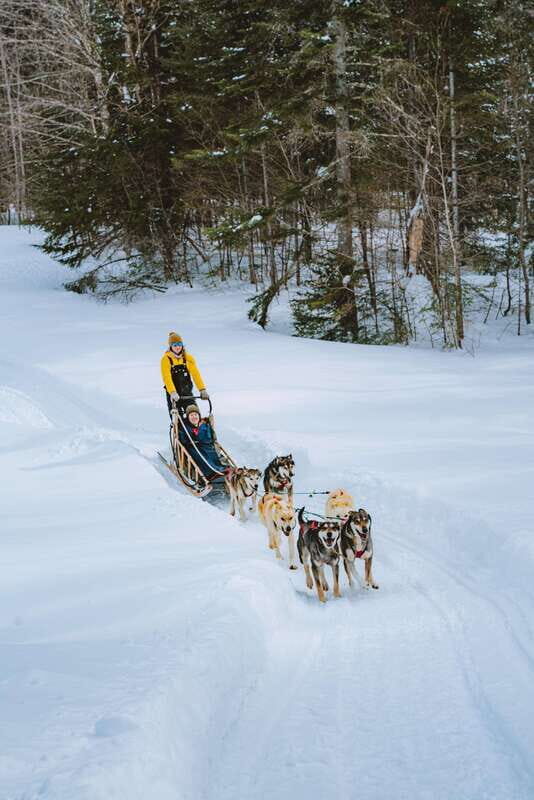 Mont-Tremblant: Dogsledding Upper Laurentians - Who Will Love This Tour?