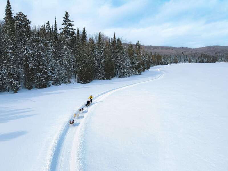 Mont-Tremblant: Dogsledding Upper Laurentians - The Sum Up