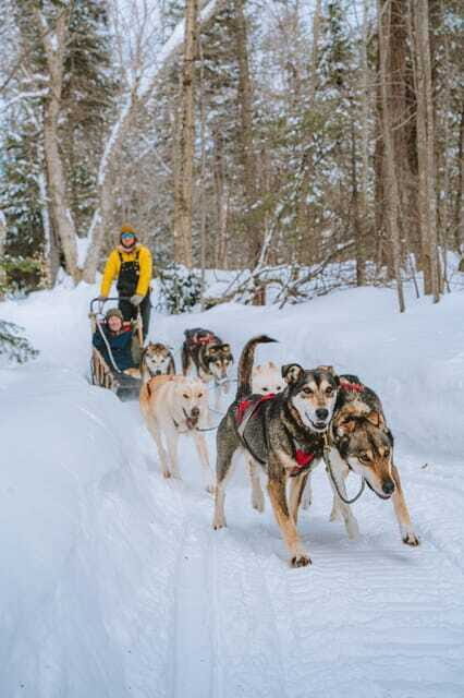 Mont-Tremblant: Dogsledding Upper Laurentians - FAQ