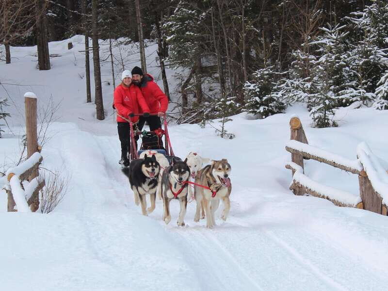 Mont-Tremblant: Dogsledding Valley Adventure - Practical Tips for Participants