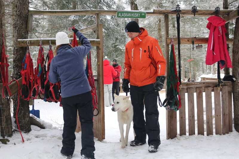 Mont-Tremblant: Dogsledding Valley Adventure - The Sum Up