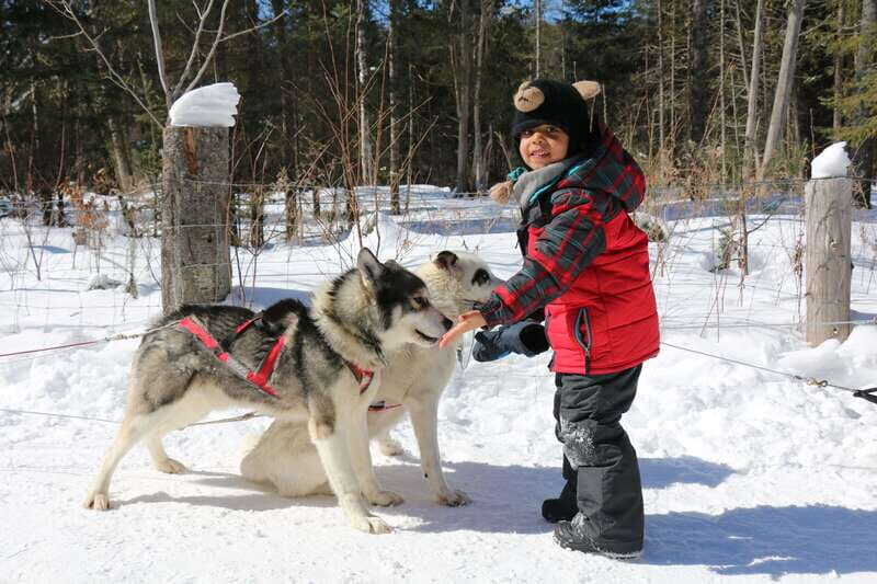 Mont-Tremblant: Dogsledding Valley Adventure - FAQ