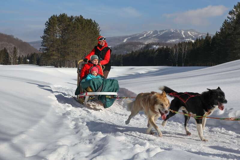 Mont-Tremblant: Guided Dogsledding Tour with Hot Chocolate - A Practical Look at the Experience