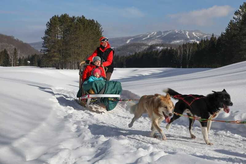 Mont-Tremblant: Guided Dogsledding Tour with Hot Chocolate - Authentic Experience, Friendly Guides, and Scenic Trails