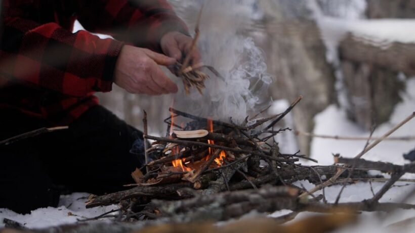 Mont-Tremblant: Guided Snowshoe Tour - What to Expect from the Snowshoe Tour