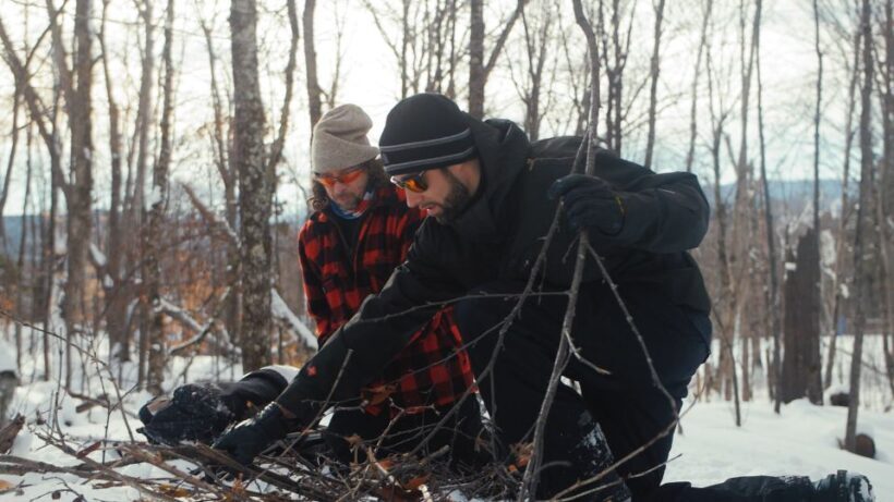 Mont-Tremblant: Guided Snowshoe Tour - What Travelers Say: Authentic Feedback