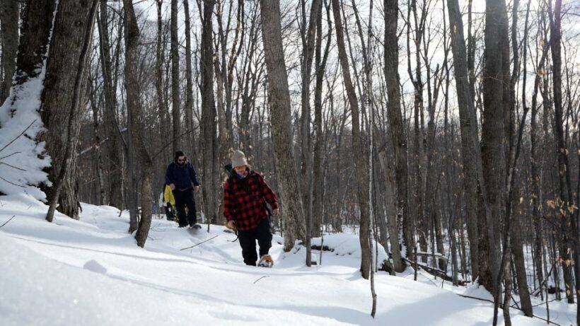 Mont-Tremblant: Guided Snowshoe Tour - Summing It Up