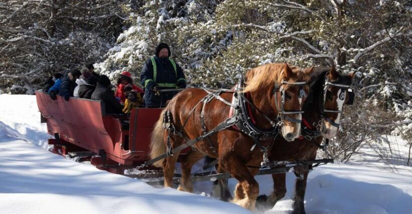 Mont-Tremblant: Sleigh Ride w/ Storytelling & Hot Chocolate - Discovering the Charm of Mont-Tremblant: A Sleigh Ride with Stories and Hot Chocolate