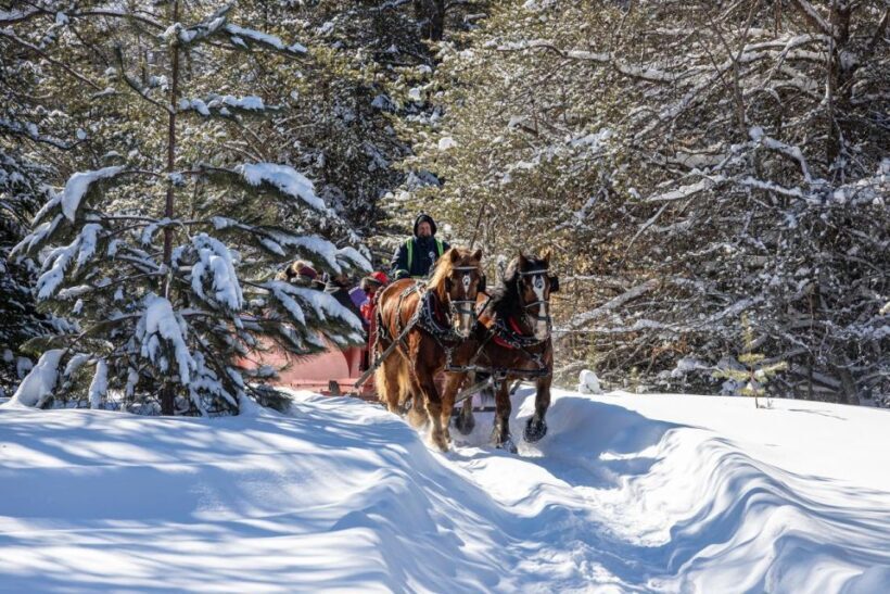 Mont-Tremblant: Sleigh Ride w/ Storytelling & Hot Chocolate - The Itinerary: What to Expect on the Ride