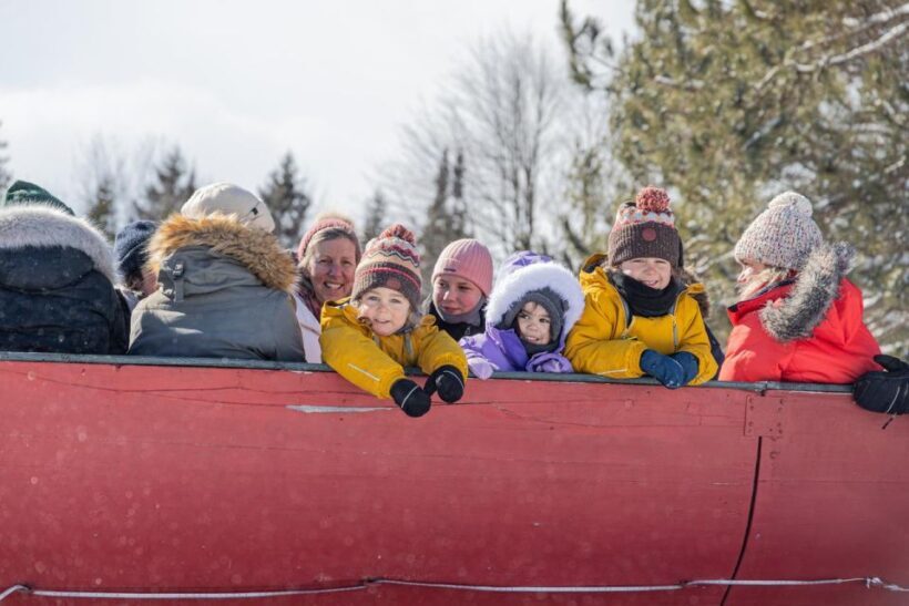 Mont-Tremblant: Sleigh Ride w/ Storytelling & Hot Chocolate - The Experience for Travelers