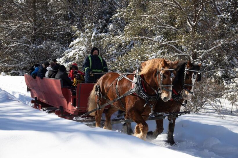 Mont-Tremblant: Sleigh Ride w/ Storytelling & Hot Chocolate - The Practicalities: What You Need to Know