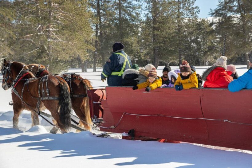 Mont-Tremblant: Sleigh Ride w/ Storytelling & Hot Chocolate - What Do the Reviews Say?