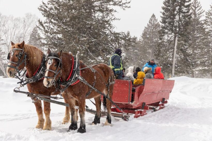 Mont-Tremblant: Sleigh Ride w/ Storytelling & Hot Chocolate - The Sum Up: Who Is This Tour Best For?