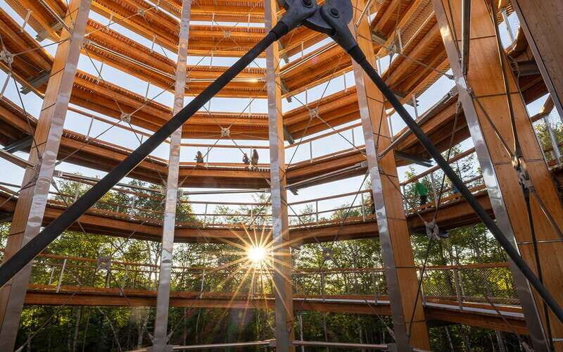 Mont-Tremblant: Treetop Observatory and Self-Guided Walk - An In-Depth Look at the Experience