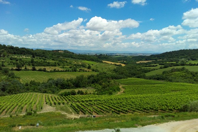 Montalcino and Pienza Tuscany Wine&Cheese ShoreExcursion from Civitavecchia Port - The Sum Up
