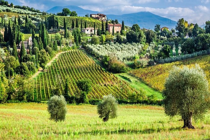 Montalcino and Pienza Tuscany Wine&Cheese ShoreExcursion from Civitavecchia Port - Frequently Asked Questions