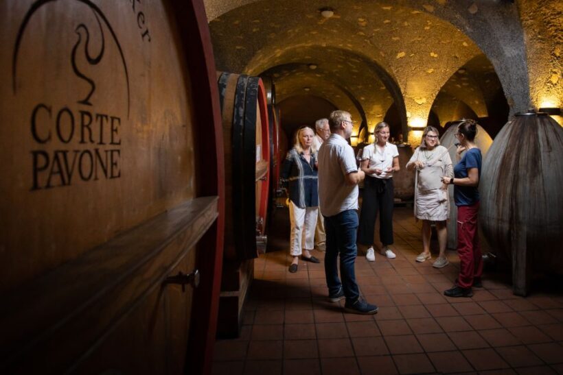Montalcino: Backstage Brunello & Gourmet Wine-Food Tasting - Who Will Enjoy This Experience?