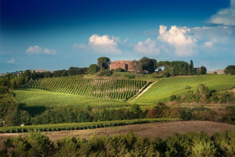 Montalcino: Brunello Wine Tasting & Lunch in a Tuscan Castle - Key Points