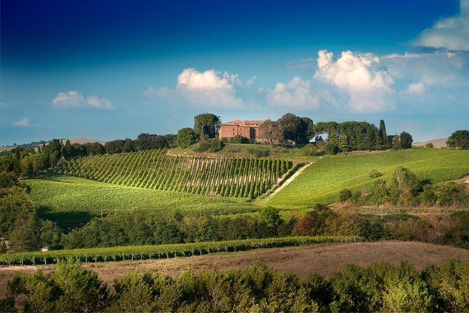 Montalcino Castle and Vineyards Tour With Tasting - Historical Insights