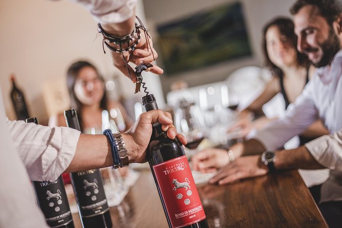 Montalcino Castle and Vineyards Tour With Tasting - Savoring the Scenic Beauty of Montalcino