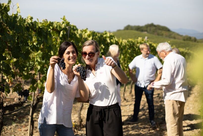 Montalcino: Guided Winery Tour and Wine Tasting - Montalcino: Guided Winery Tour and Wine Tasting — A Deep Dive into Tuscan Viticulture
