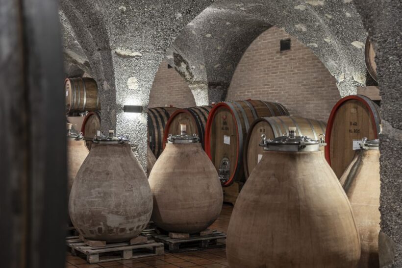 Montalcino: Guided Winery Tour & Gourmet Food Tasting - The Sum Up: Who Should Book?