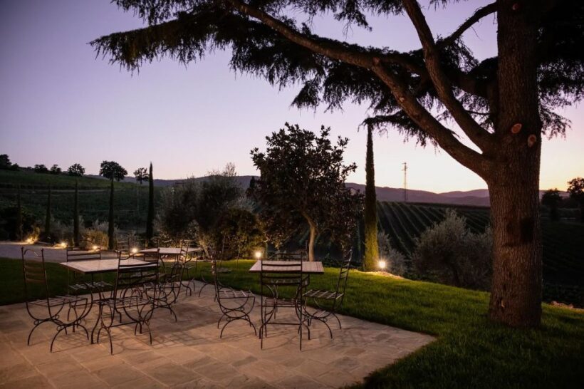 Montalcino: Premium Wine Tasting with light-lunch and Tour - Practical Details: Booking and Logistics