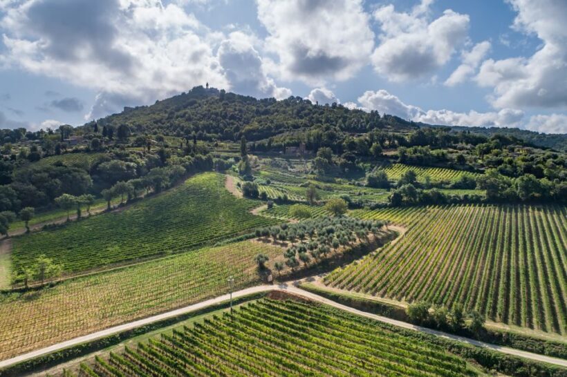 Montalcino: Private Cellar Tour, Wine Tasting & Appetizers - Frequently Asked Questions