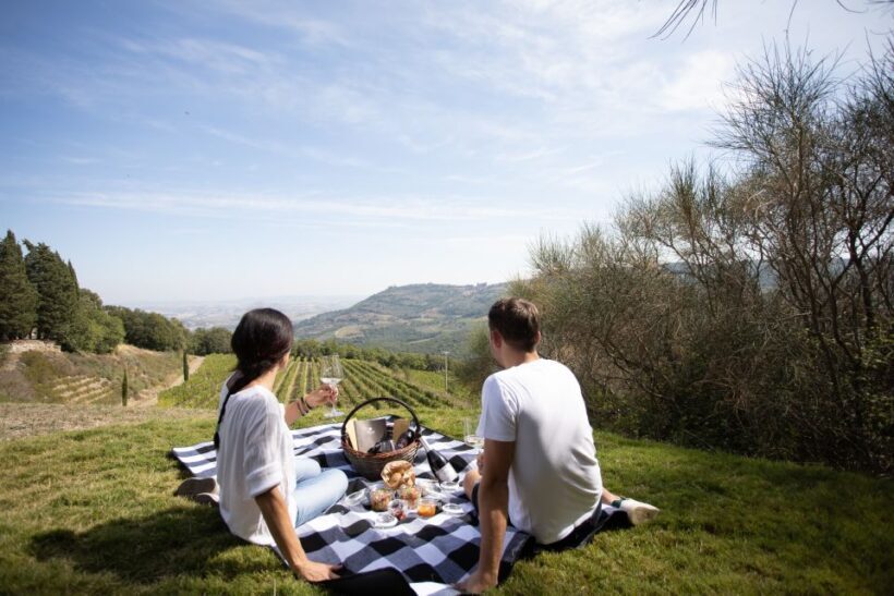 Montalcino: Vineyard Picnic with a Bottle of Wine - What Makes This Tour Stand Out?