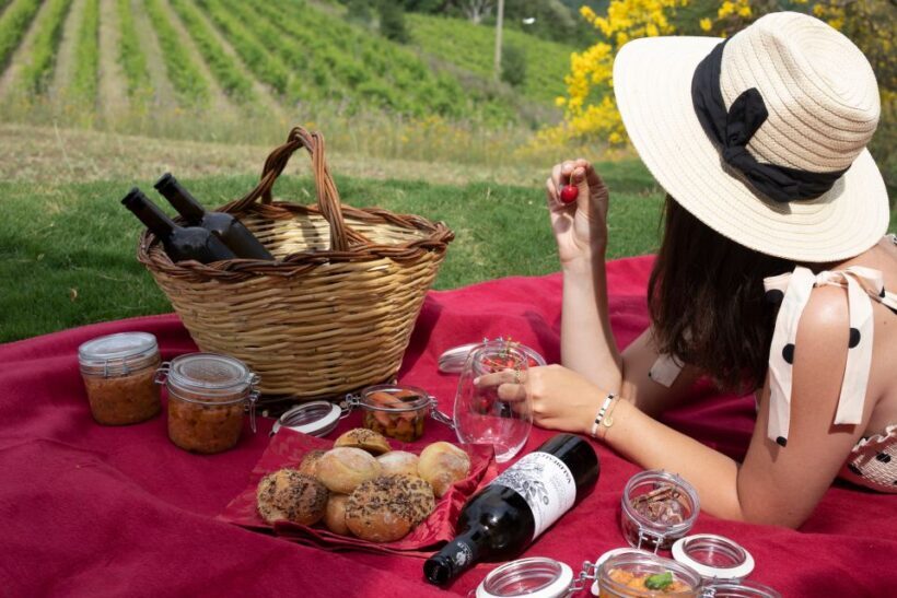 Montalcino: Vineyard Picnic with a Bottle of Wine - Final Thoughts: Is This Tour for You?