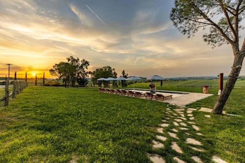Montalcino: Vineyard Picnic with Rosso di Montalcino Wine - The Sum Up