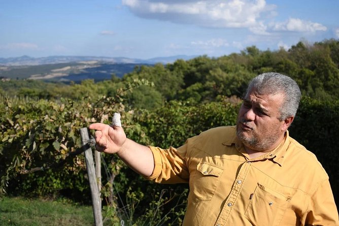 Montalcino wine tour - Who Should Consider This Tour?