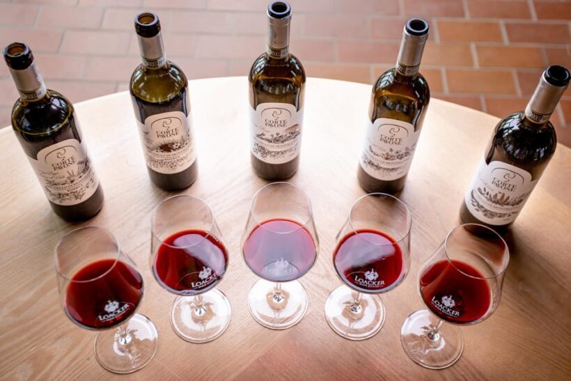 Montalcino: Winery Tour & Gourmet Brunello Vertical Tasting - An In-Depth Look at the Experience