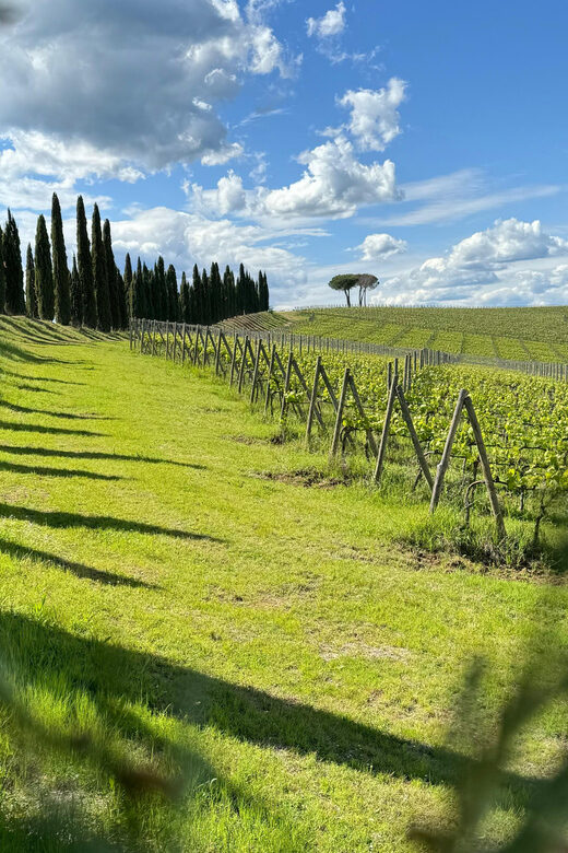 MONTALCINO:Privat E-Bike experience discovering Orcia Valley - A Detailed Look at the Montalcino Private E-Bike Tour