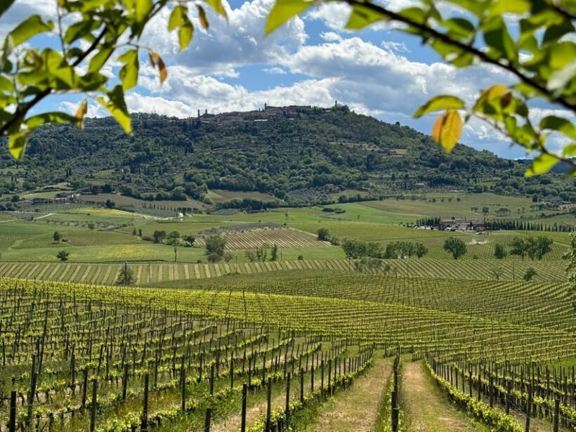 MONTALCINO:Privat E-Bike experience discovering Orcia Valley - FAQs