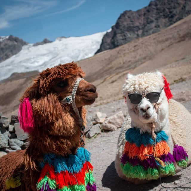 Montaña de los 7 colores - Frequently Asked Questions