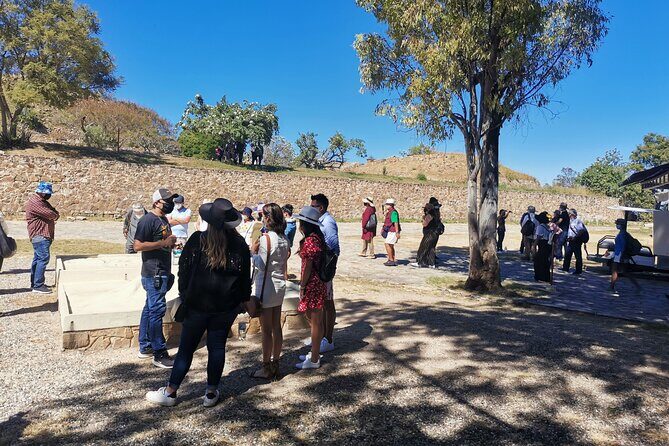 Monte Alban - Full Day Guided Tour with or without Food - Oaxaca - Starting Point and Transport: Set for Comfort and Convenience