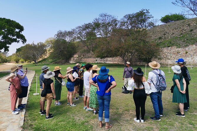 Monte Alban Only - Half Day Guided Tour - Oaxaca - What to Expect from the Tour