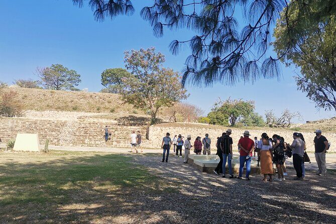 Monte Alban Only - Half Day Guided Tour - Oaxaca - Transportation and Group Size