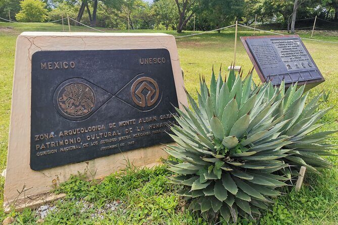 Monte Alban Only - Half Day Guided Tour - Oaxaca - Final Thoughts