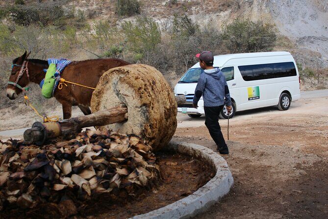 Monte Alban, Teotitlan and Mezcal Tour - Who Should Consider This Tour?