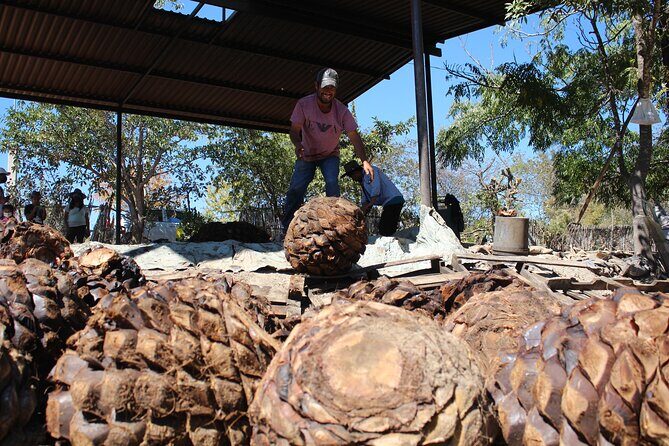 Monte Alban, Teotitlan and Mezcal Tour - Final Thoughts