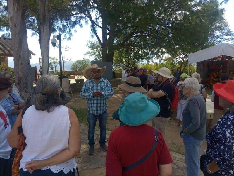 Monte Alban Walking Tour - Authentic Experiences and Traveler Feedback